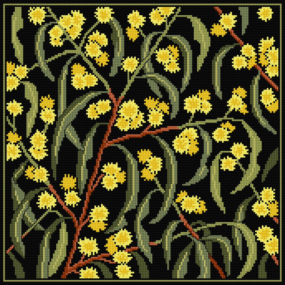 Native Plants - Lyn Randall - Wattle – Odana Bloomfield